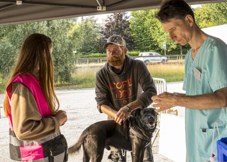 L’association, Nos Missions et nos valeurs – Fédération Gamelles Pleines